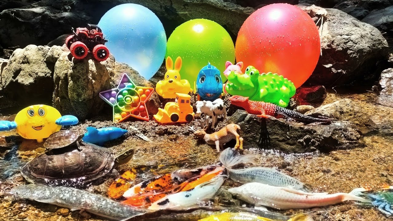 Find catfish in the river, koi fish, turtles, colorful balloons ...