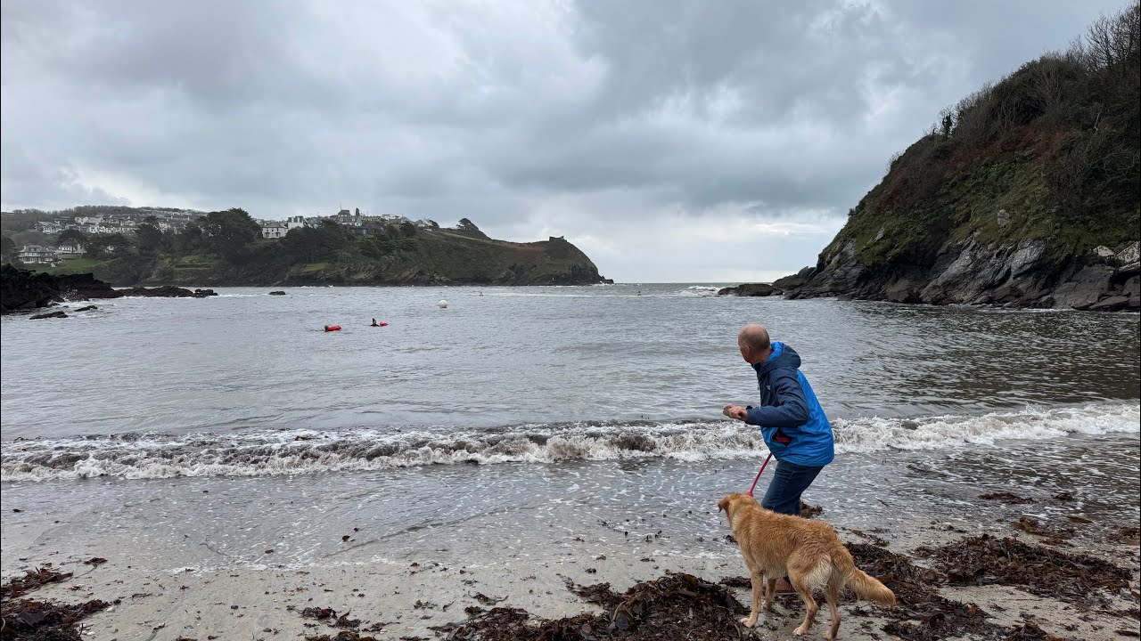 Readymoney CoveBeach in Fowey-Cornwall-England #beach #goldenretriever ...
