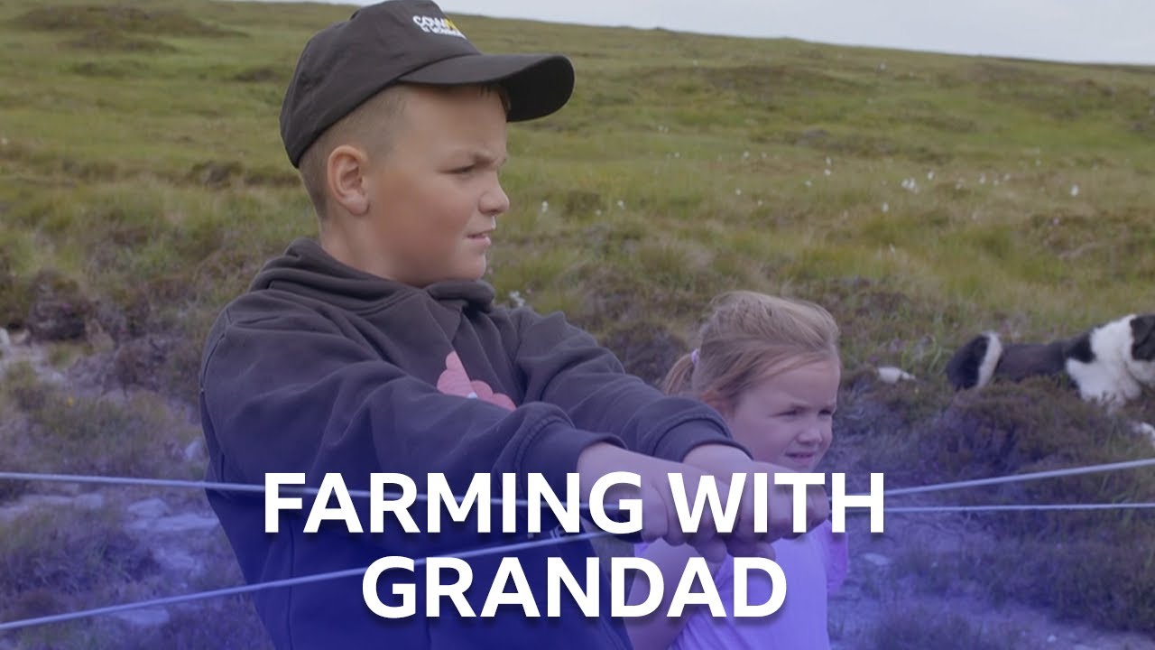 Passing Farming Techniques Down The Family | This Farming Life | BBC ...