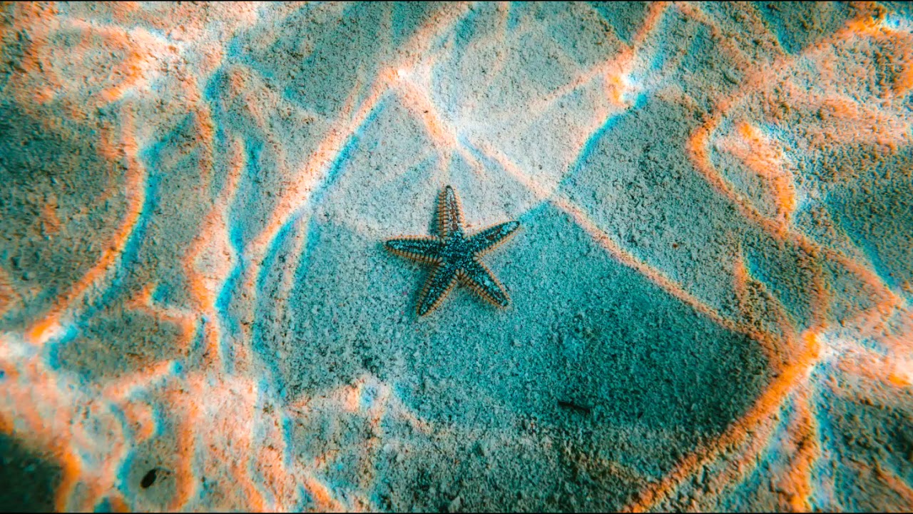 Myd - Bingo - YouTube