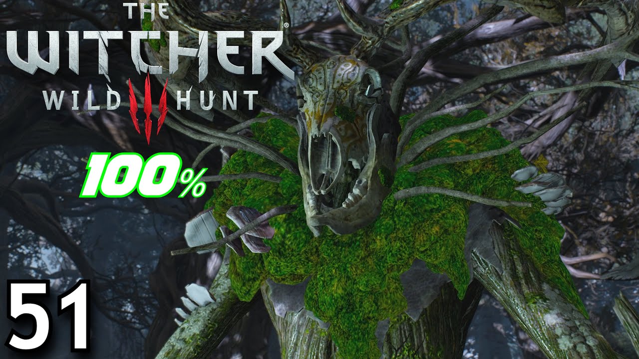 The Witcher 3: Wild Hunt 100% Death March Walkthrough Part 51 - Ancient ...