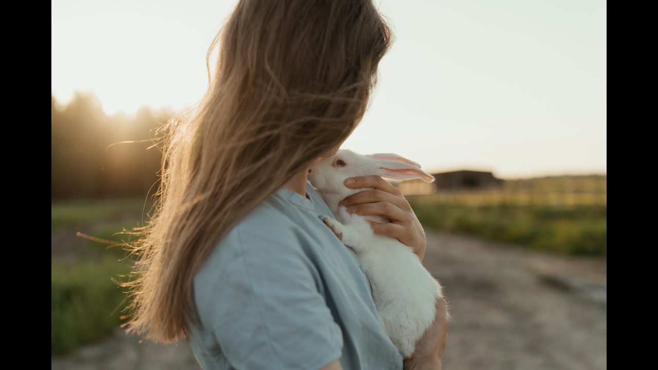 ASMR - Fall asleep to softly spoken, Alice in Wonderland - YouTube