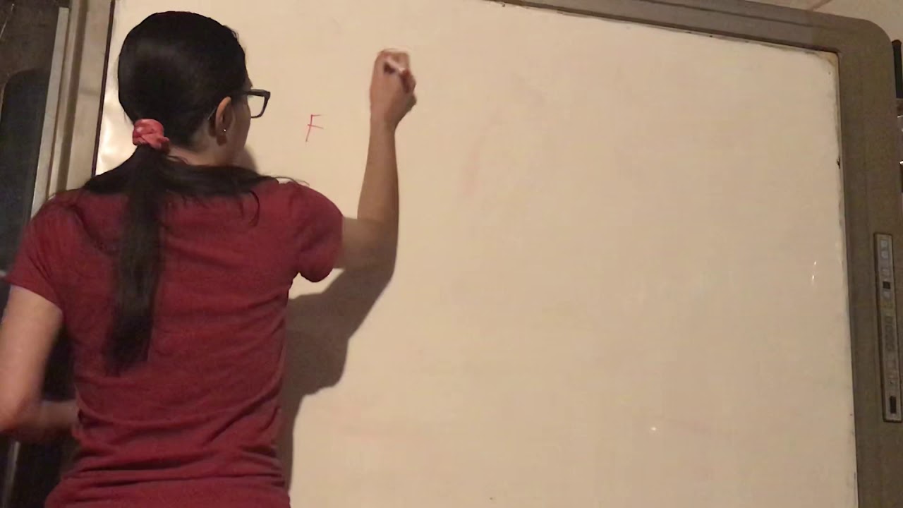 Bolsas, Arcos y Hendiduras Faringeas - YouTube