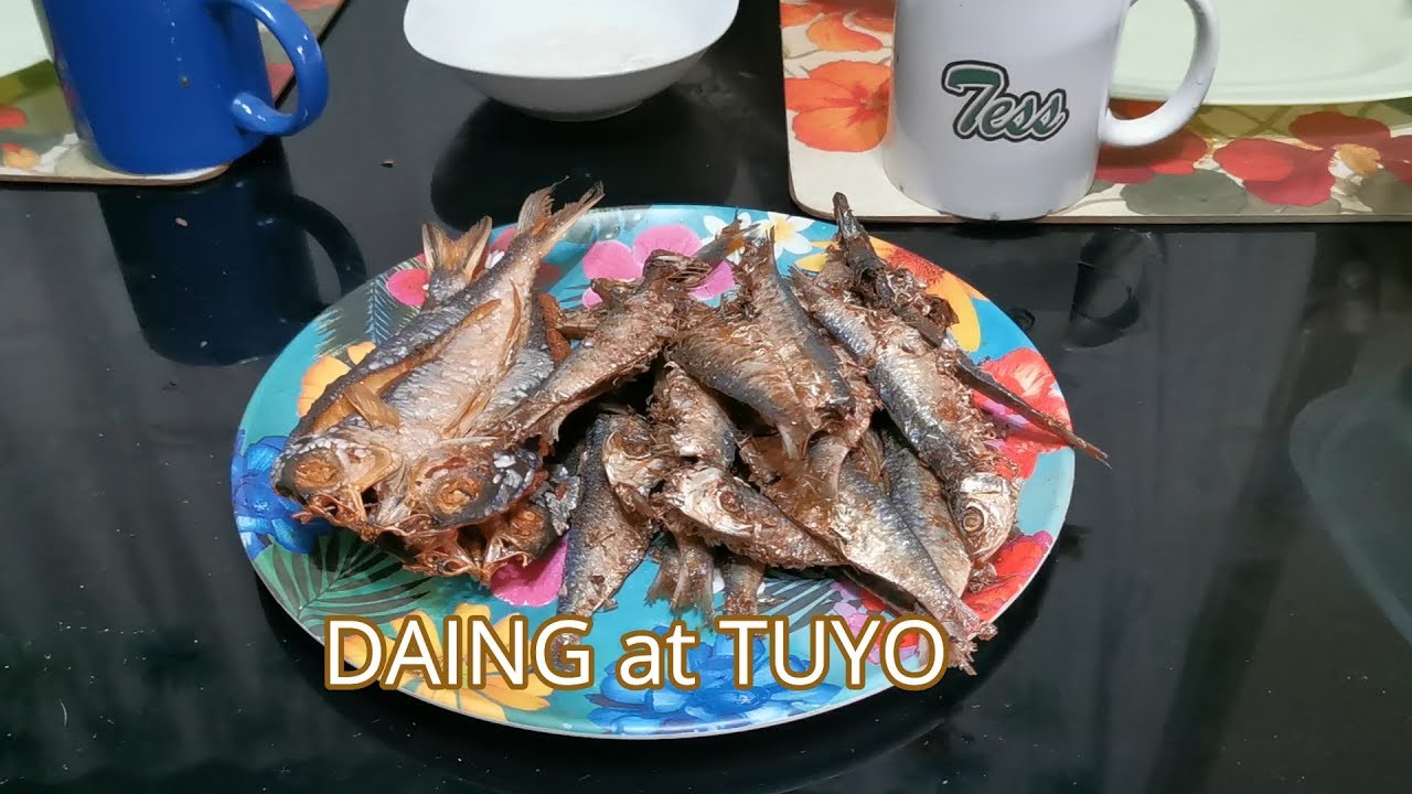 DAING at TUYO - YouTube