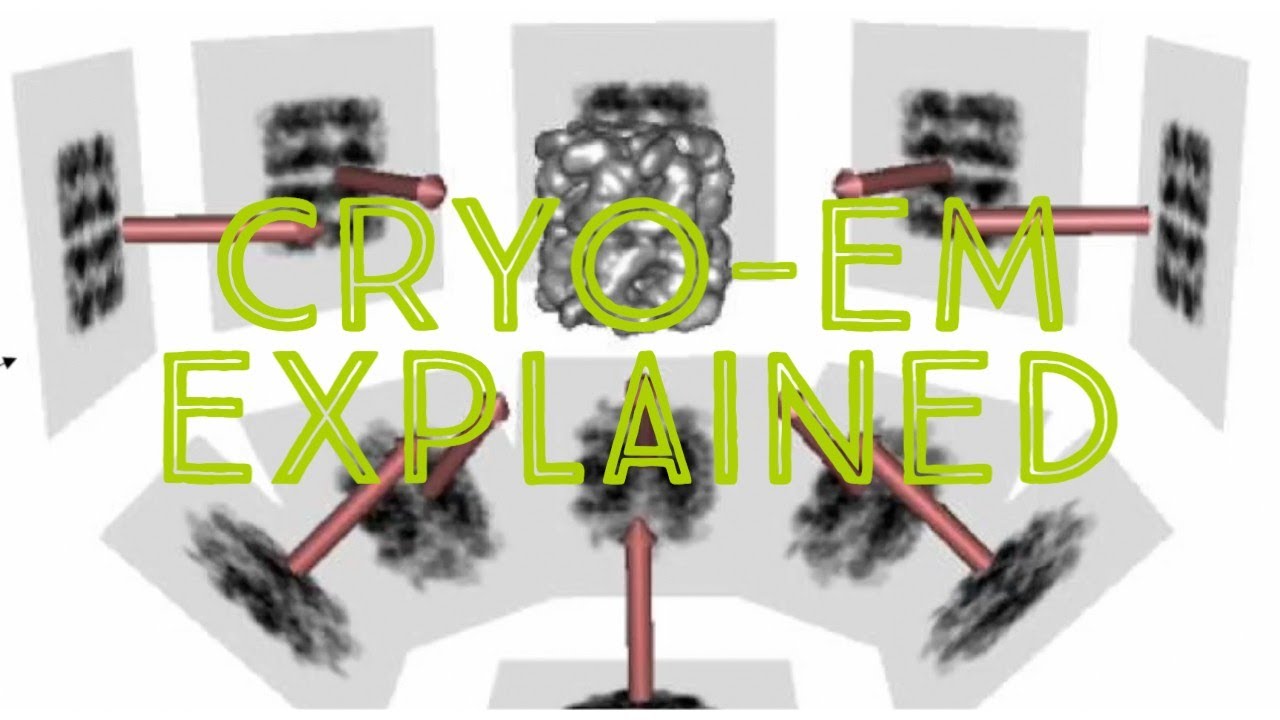 Cryo EM Workflow in Short - YouTube