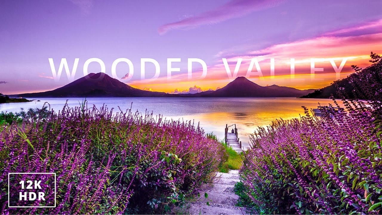 Hilly Wooded Valley 12K - YouTube