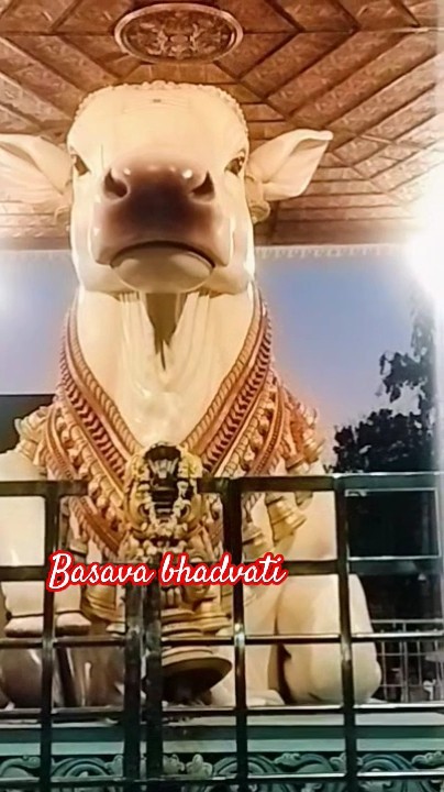 Maa Avyan ATS 🌹 Basavan #subscribe temple Bhadavti # shorts and views ...