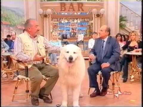 Cafiero su Rai 2 - YouTube