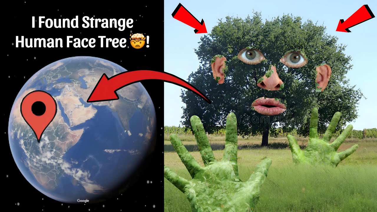 🌳I Found Strange Human Face Tree in Real On Google Earth and Google ...