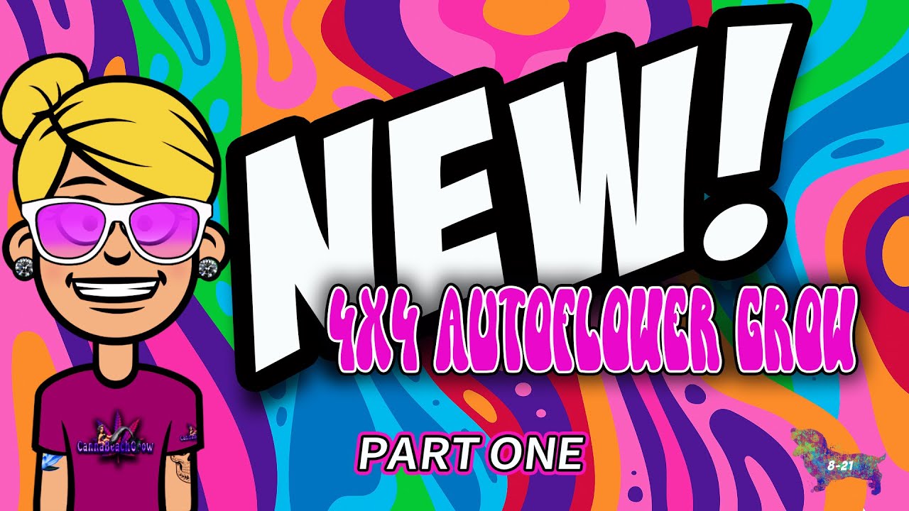 NEW 4X4 Autoflower Grow! #1 - YouTube