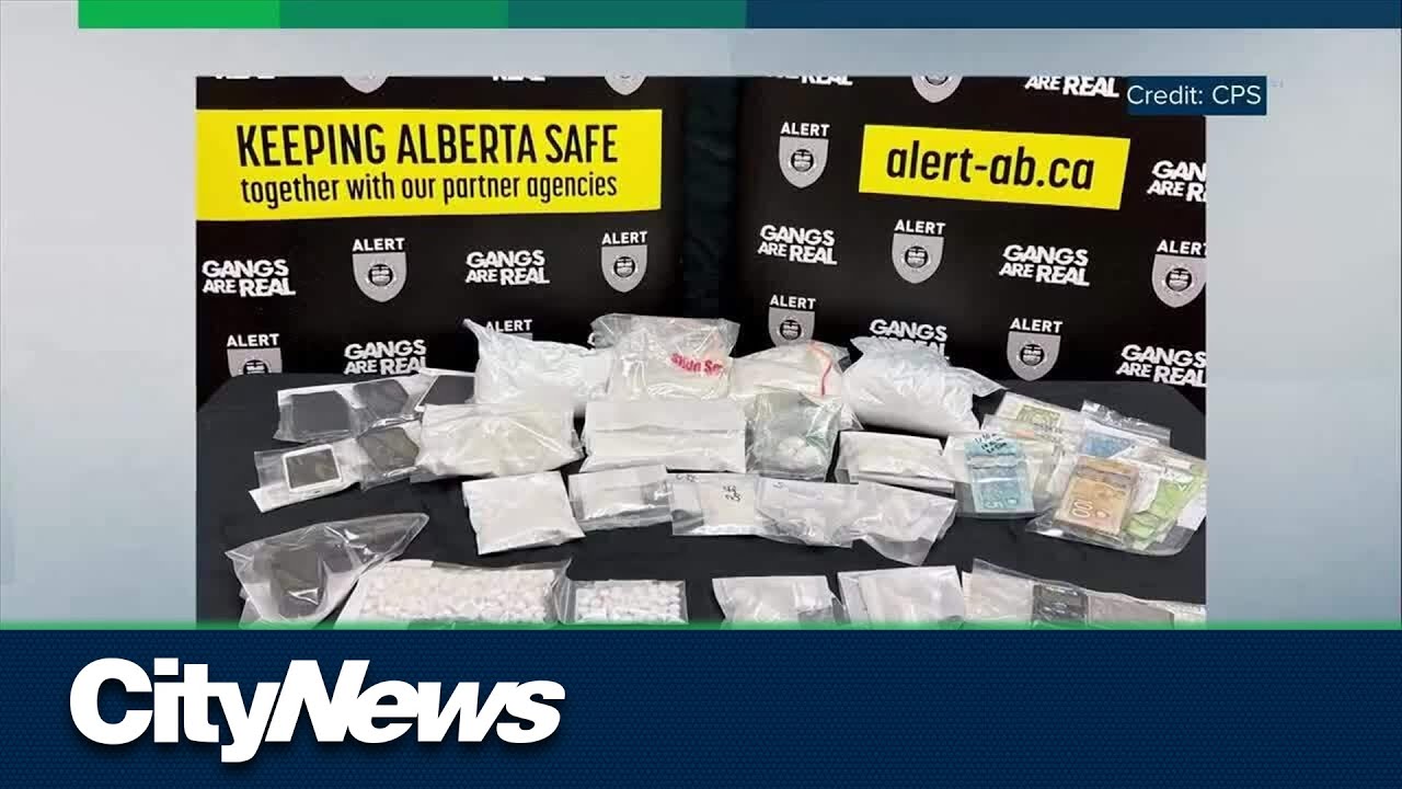 Seven Calgarians charged in Project Carlos drug bust - YouTube