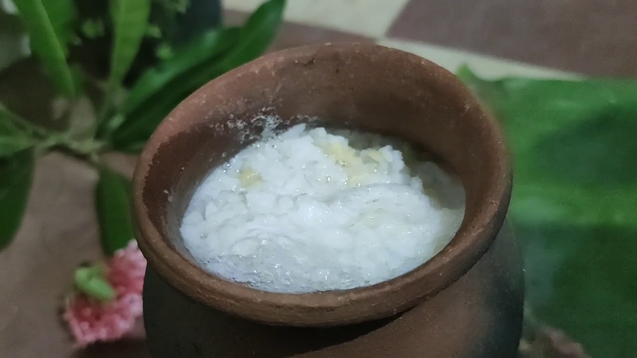 Pongal Celebration - Pot Pongal making in traditional Style - YouTube