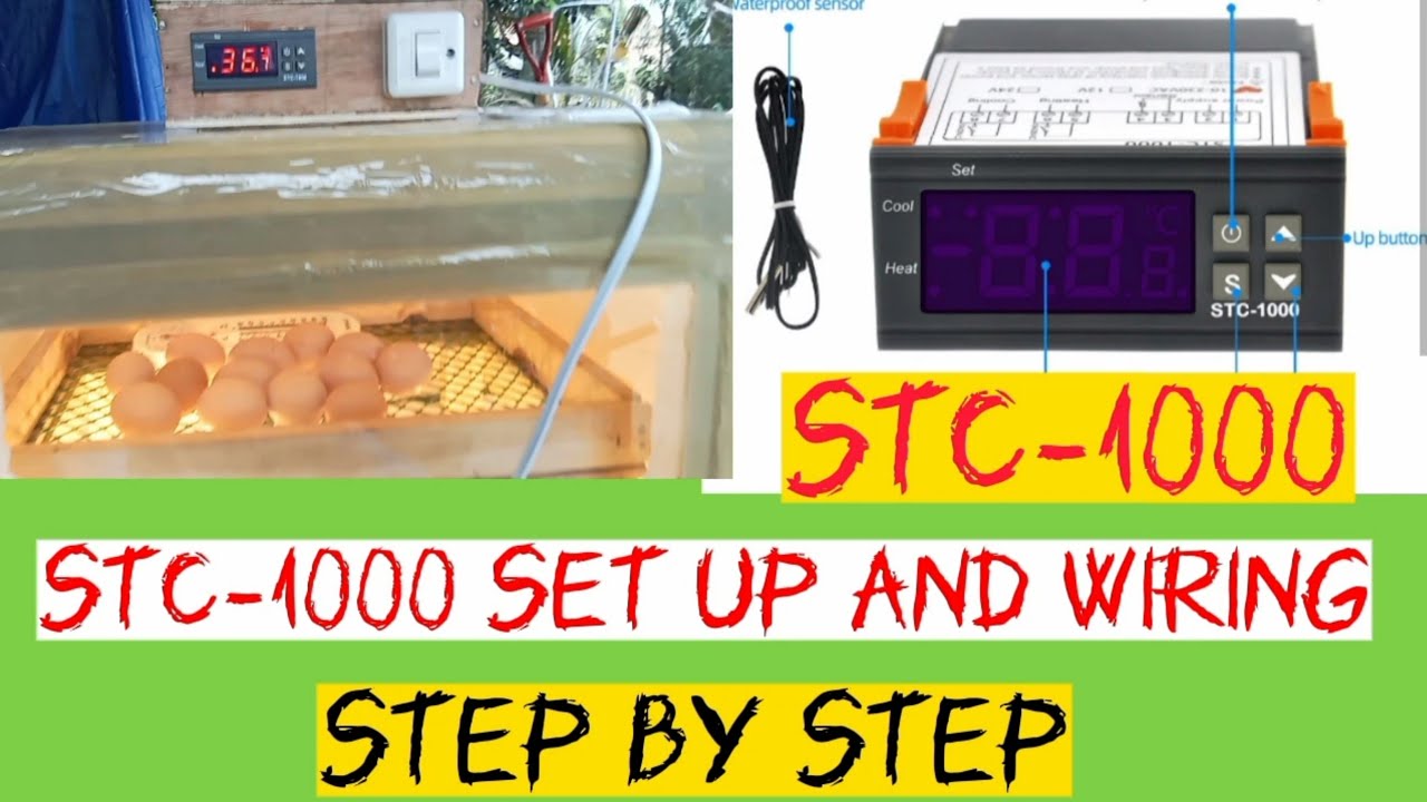 STC-1000 how to set up / wiring/ step by step - YouTube
