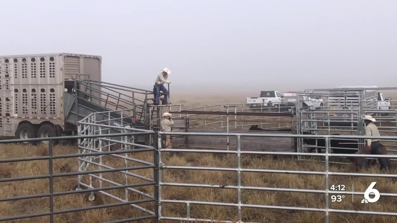 Wyatt Ranches Foundation, Wyatt Ranches donate money to area ...