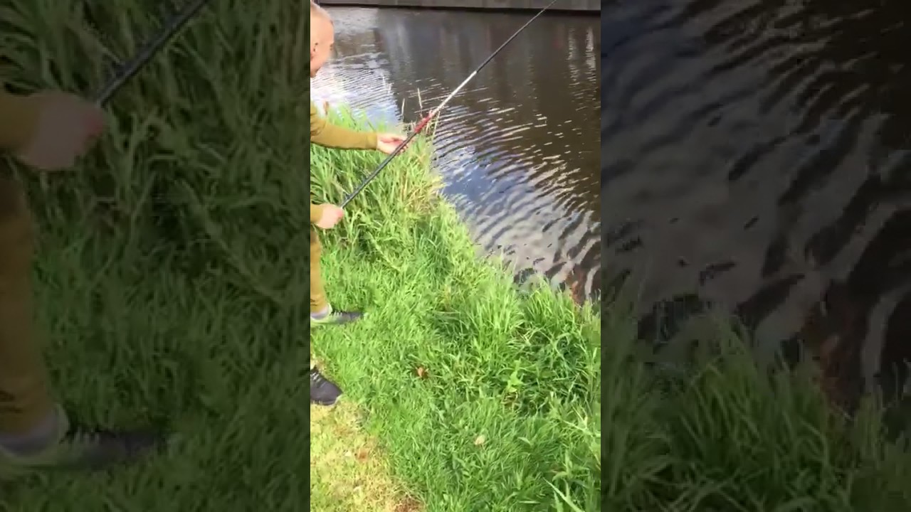 Dikke vis karper snoek voren haai meerval helemaal lijp Amsterdam ...