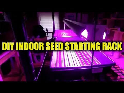 Seed Starting On A Budget | (DIY) Indoor Grow Rack - YouTube