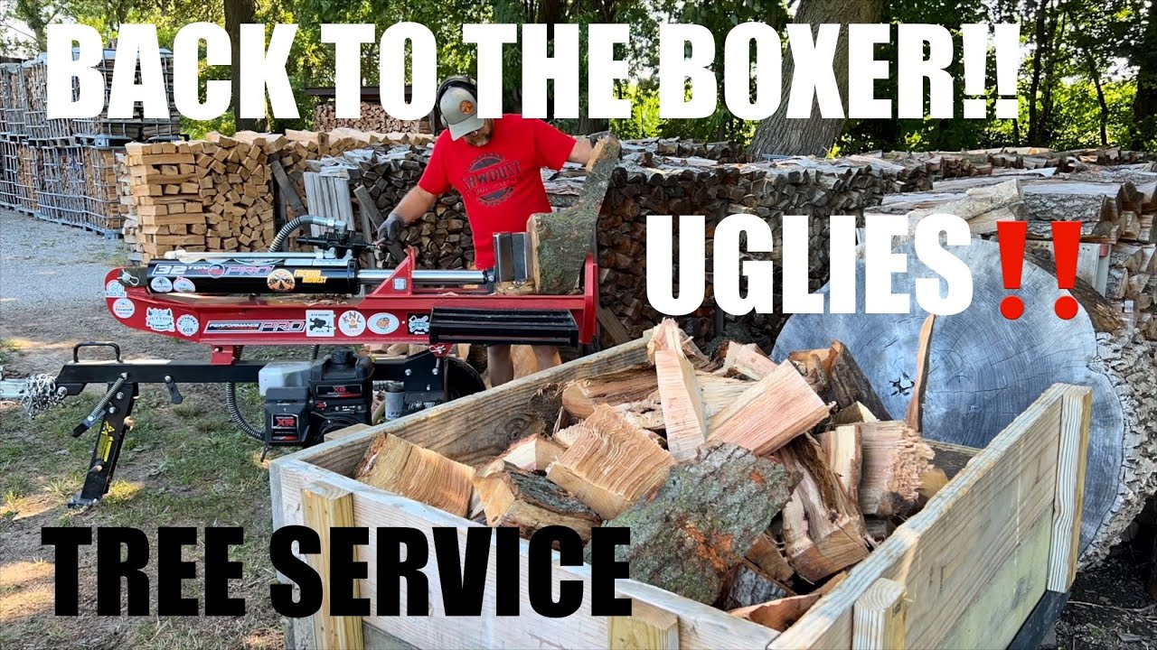 Splitting Undesirable Tree Service Wood With The Box Store Splitter‼️ # ...