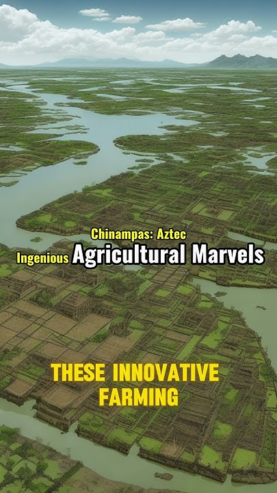 Chinampas Aztec Ingenious Agricultural Marvels #history #facts #shorts ...