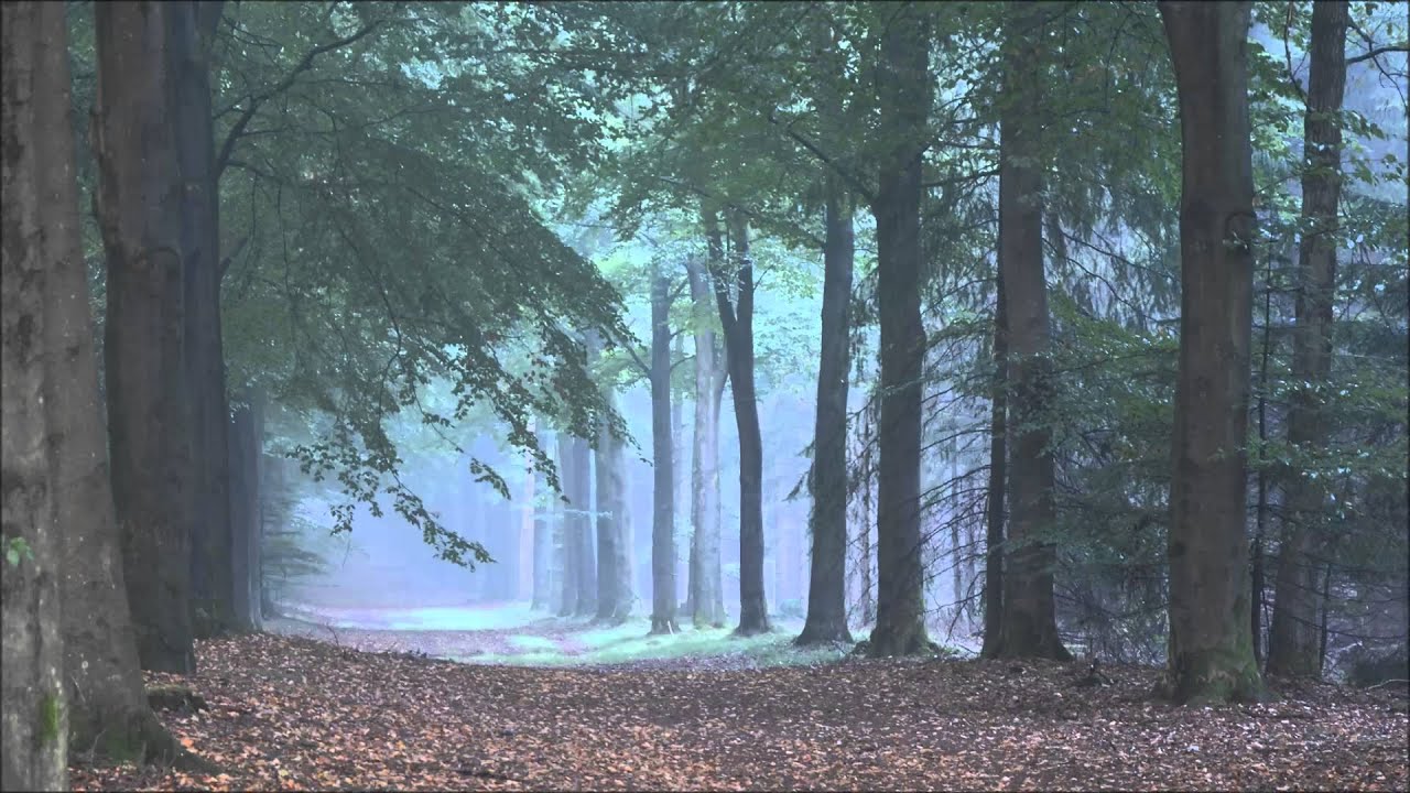 Beautiful Celtic Medieval Flute Music Saltarello Melody Instrumental ...