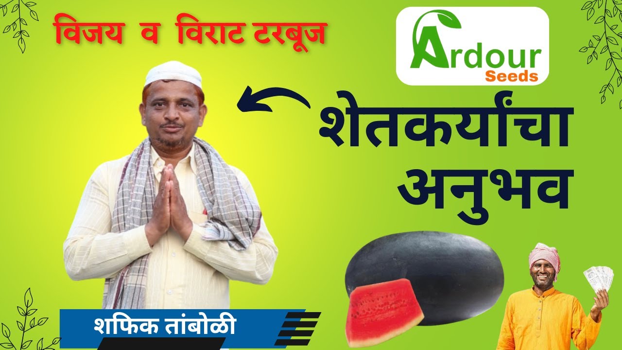 🍉शेतकर्यांचा अनुभव | विजय व विराट टरबूज | ardour seeds | best ...