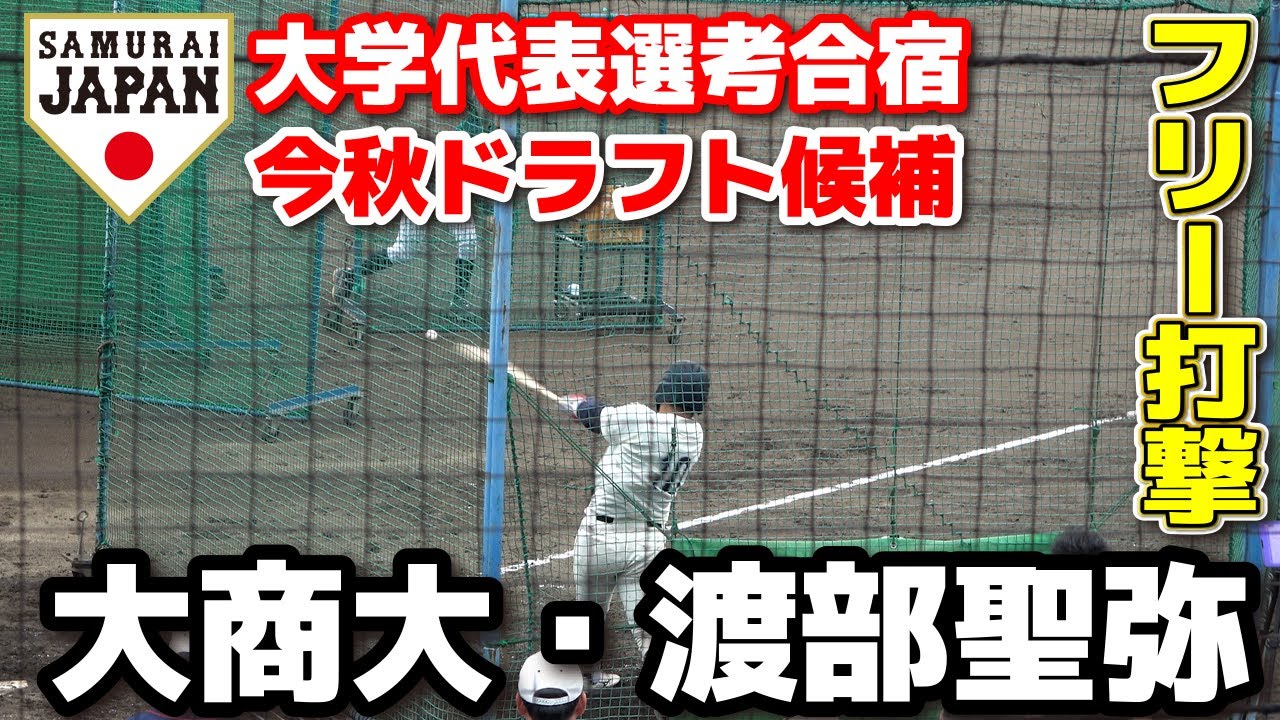 【侍ジャパン】今秋ドラフト上位候補 大商大・渡部聖弥（広陵） 柵越えも披露 フリー打撃で力強いスイングをアピール 大学野球 2024.6.23 ...