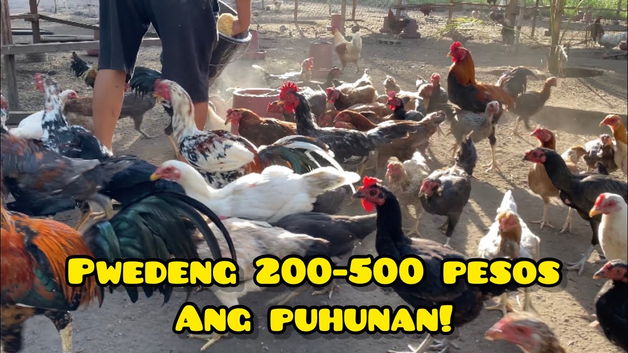 NEGOSYONG HINDI KAILANGAN NG MALAKING PUHUNAN! - YouTube