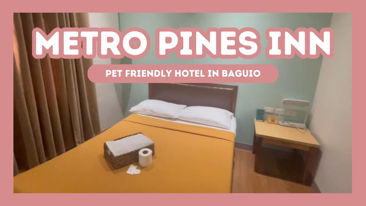 Metro Pines Inn: Pet-Friendly Hotel In Baguio | Standard Double Room ...