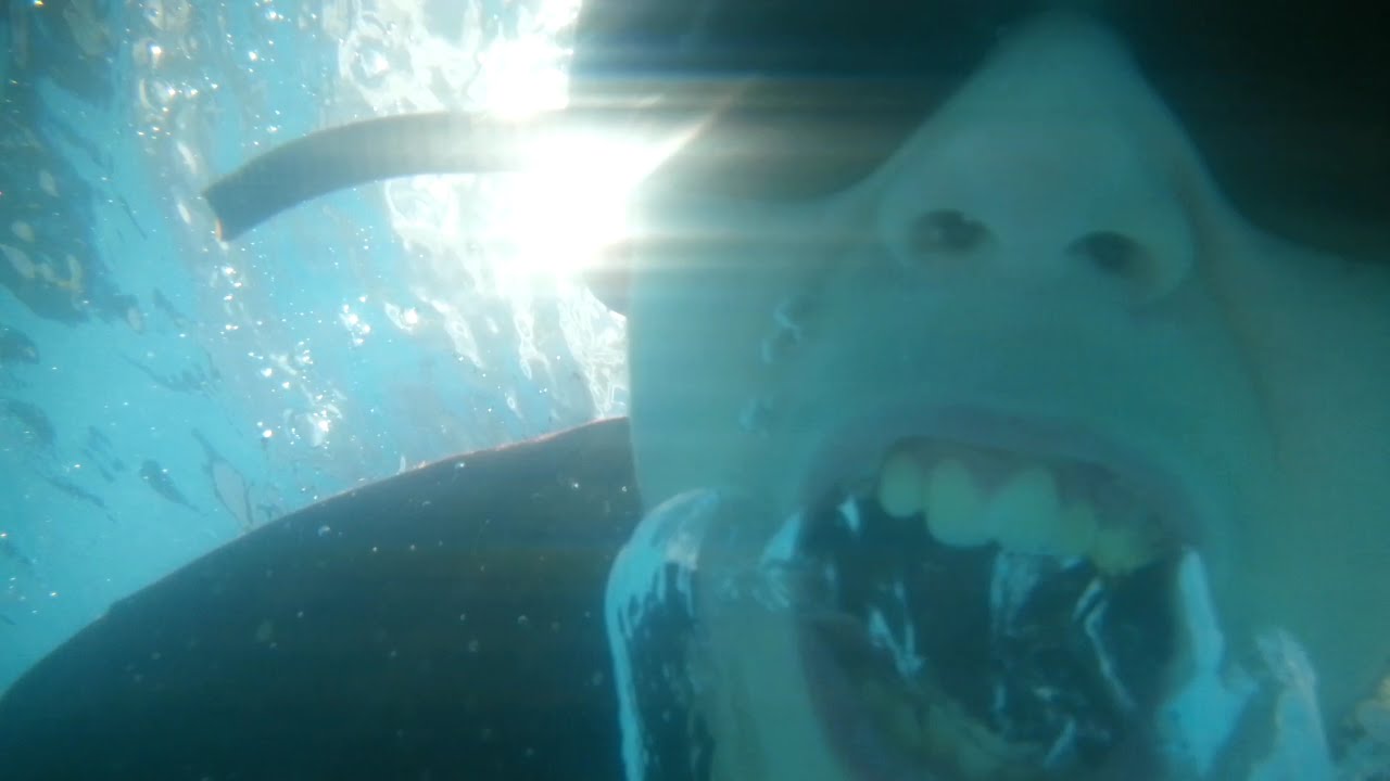 LOUDEST SCREAM UNDERWATER (5.28.16 - Day 41) - YouTube