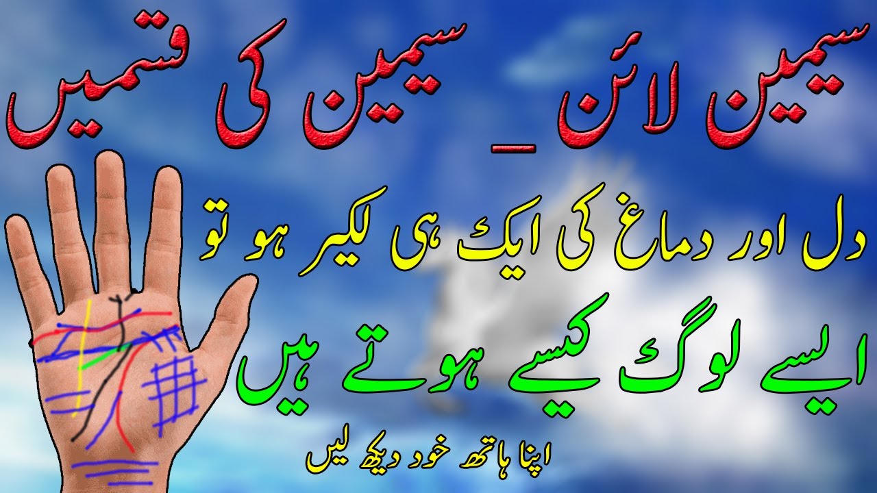 Simian Line _Types of Simian Lines_ Understanding the SIMIAN line ...