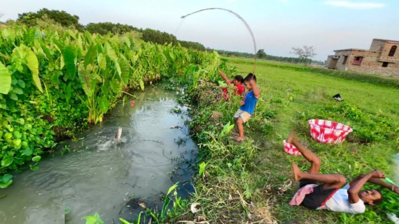 Village Fishing Video 🎣🎣 | The Lady & Boy Amazing Hook Fishing in ...