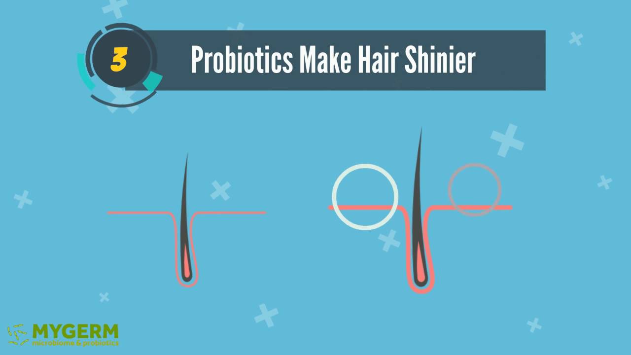 Prevent Hair Loss Youtube