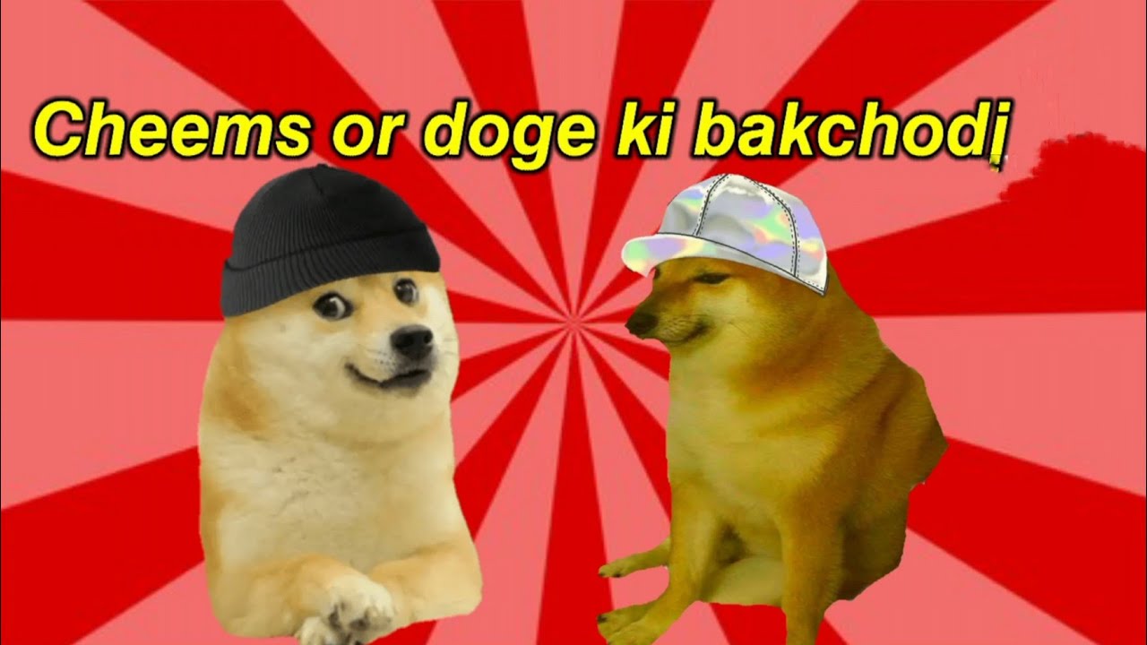 𝘾𝙝𝙚𝙚𝙢𝙨 𝙤𝙧 𝙙𝙤𝙜𝙚 𝙠𝙞 𝙗𝙖𝙠𝙘𝙝𝙤𝙙𝙞🤣🤣#doge#cheems #memes#dogememe #cheemsarmy # ...