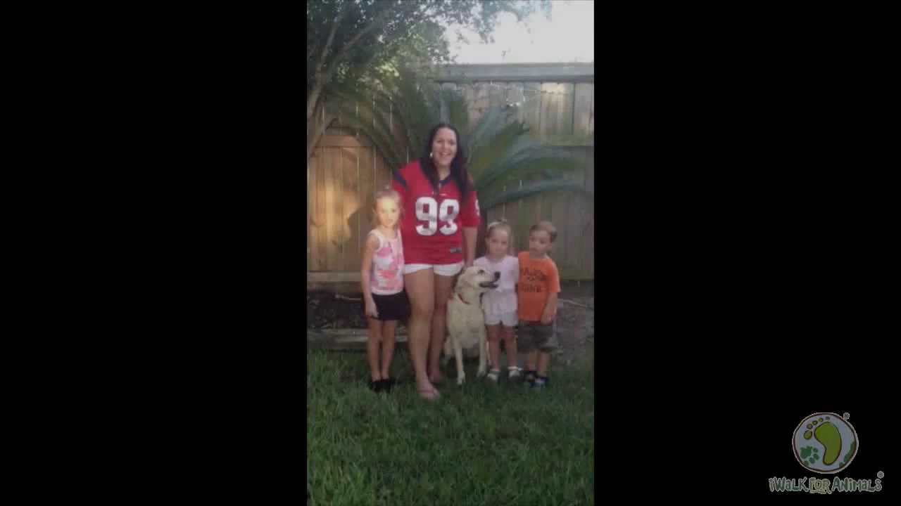 iWalk with Christi Brooks | Houston SPCA - YouTube