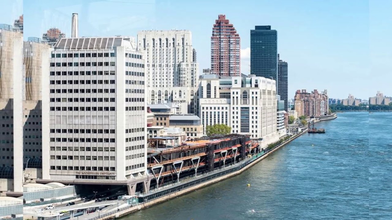 Short overview of Rockefeller University - YouTube