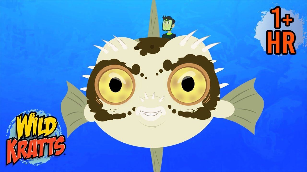 Deep Sea Creatures 🌊 | Sharks, Fish, and Frogs with Wild Kratts | 9 ...