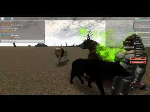 Wild Life! \\ ROBLOX - YouTube