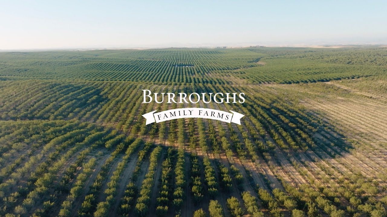 Burroughs Family Farms: Rooted In Regenerative - YouTube