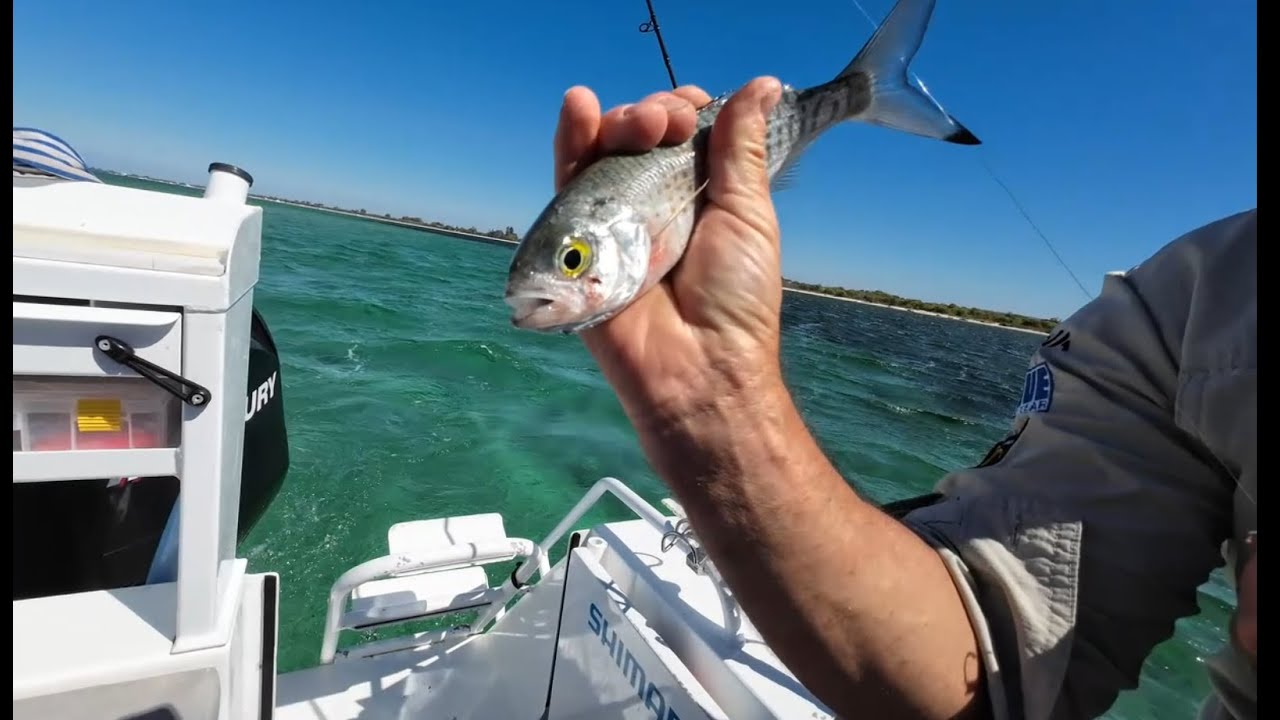 Fishing - Western Australia - Herring - Straw Technique, No Bait - 09 ...