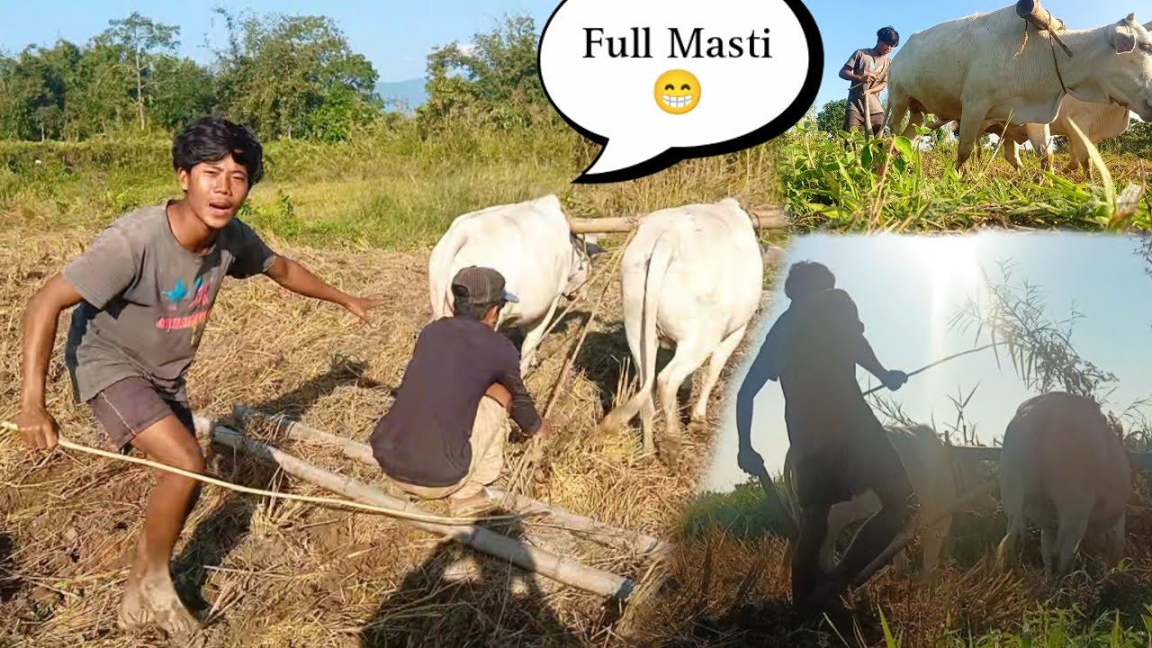 Go to farming Today || Kheti Me Bahut Enjoy Kya || Village Farming ...