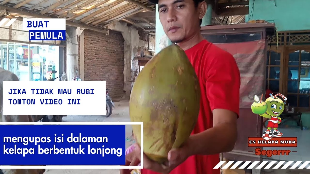 membongkar isi dalaman kelapa yang berbentuk lonjong - YouTube