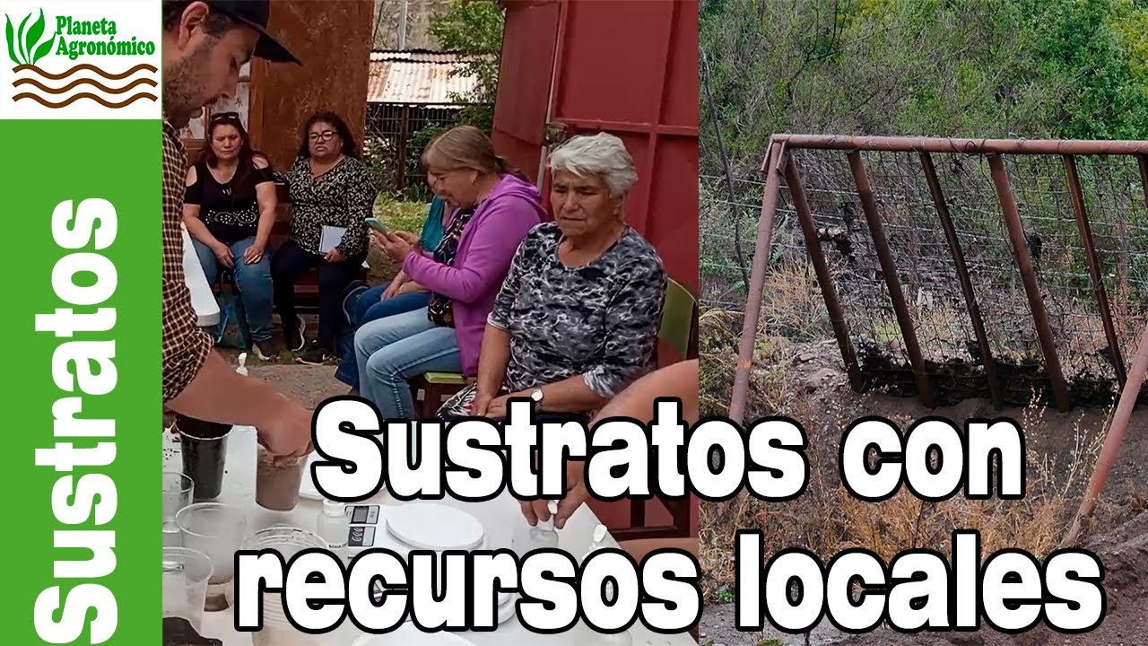 Cómo elaborar un sustrato 😎 de calidad con recursos locales 🏡 - YouTube
