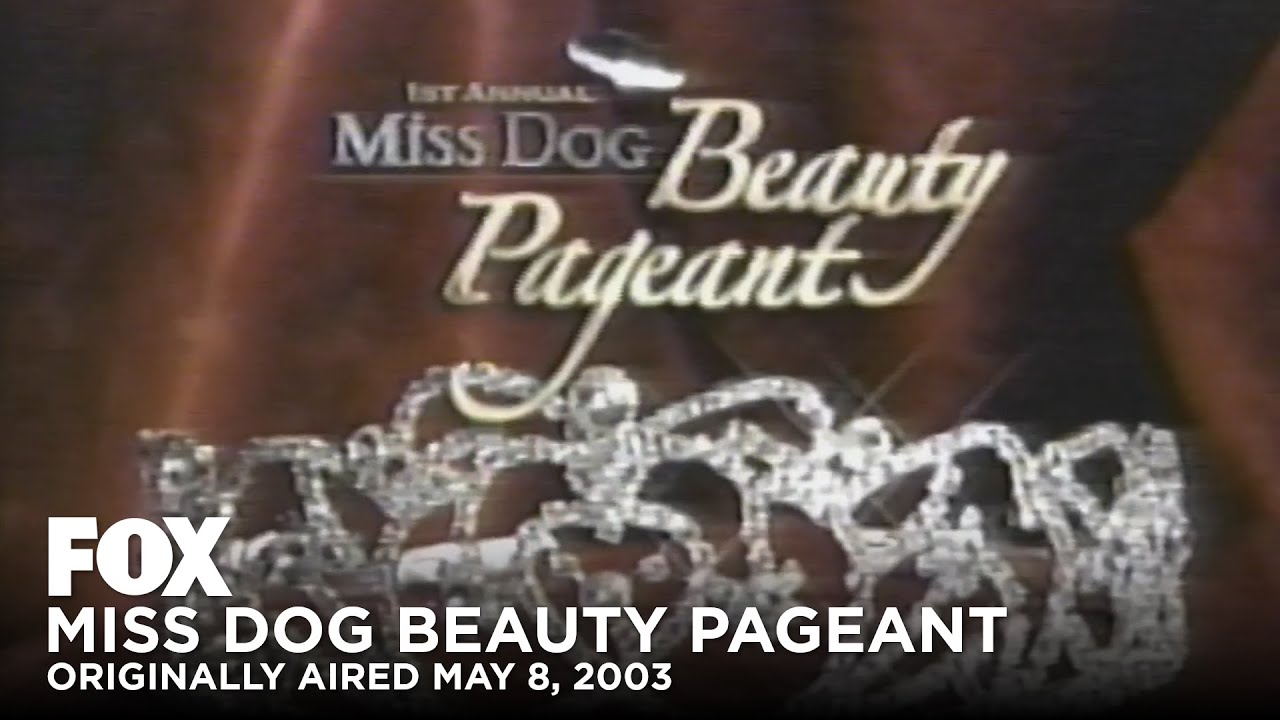 The First Annual Miss Dog Beauty Pageant (Full) - YouTube