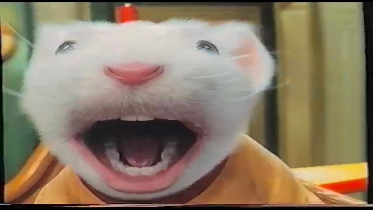 Stuart Little 2: VHS UK Trailer (2002) - YouTube