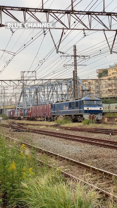 (貨物列車) 2024/10/27 70レ EF210-13 + コキ17B (新居浜〜東京タ) #Shorts - YouTube