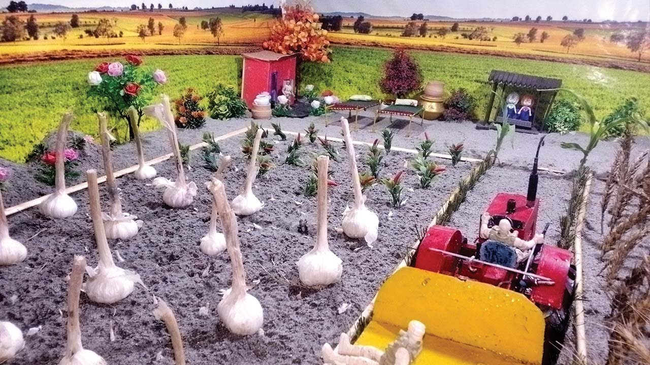 DIY mini tractor making agriculture cultivator for Garlic Farming ...