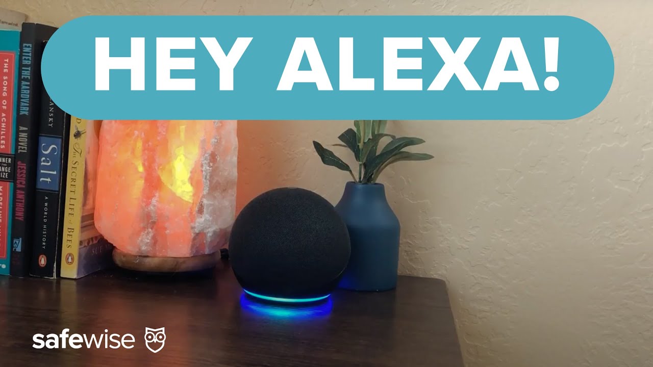 Setting Up An Echo Dot 4 What You Should OPT OUT Of YouTube Setting Up An Echo Dot 4 What You Should OPT OUT Of YouTube