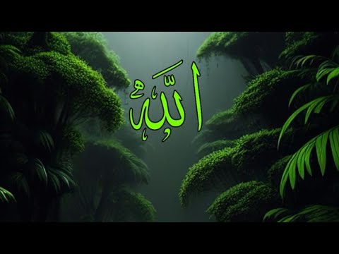 Beautiful Allah Name Animation Status | Islamic WhatsApp Status 2026