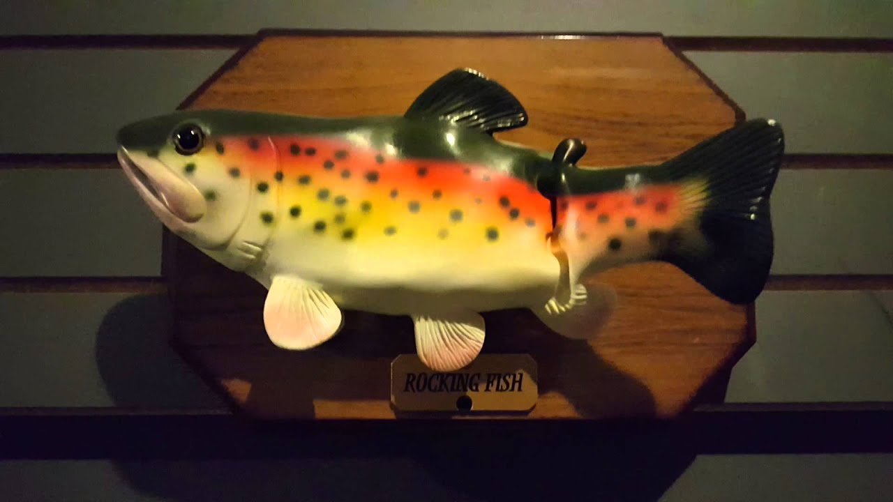 Rocking fish (trout version) reupload - YouTube