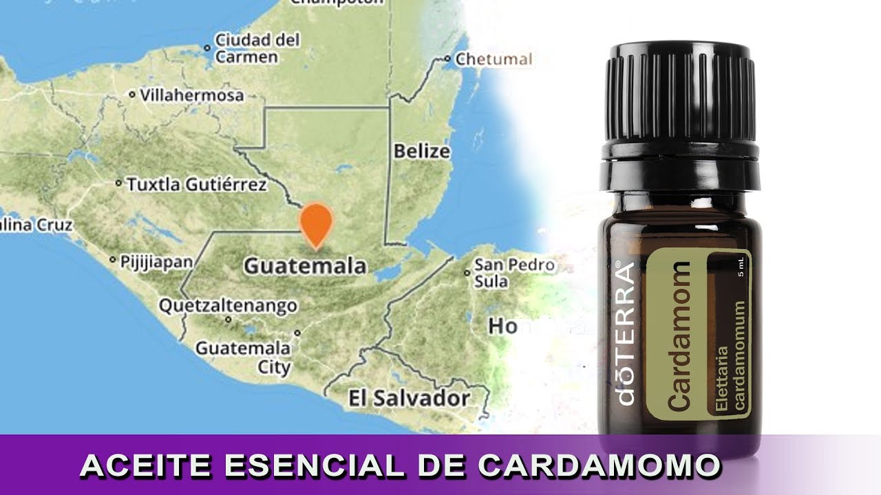 Aceite Esencial de Cardamomo doTERRA | Origen, uso y aplicación - YouTube
