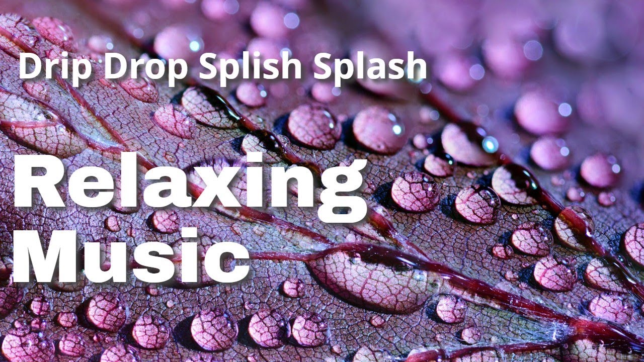 Drip Drop Splish Splash: Study music, Sleep music, Relaxing music - YouTube